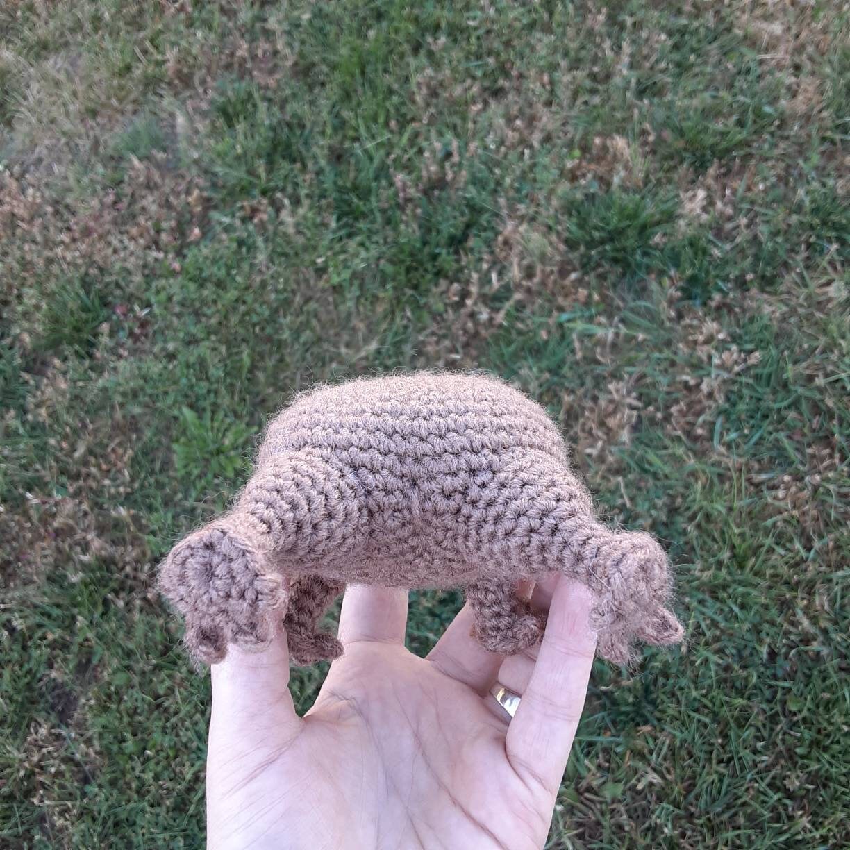 Angry Black and Desert Rain Frogs Crochet Made to Order Stuffed ...