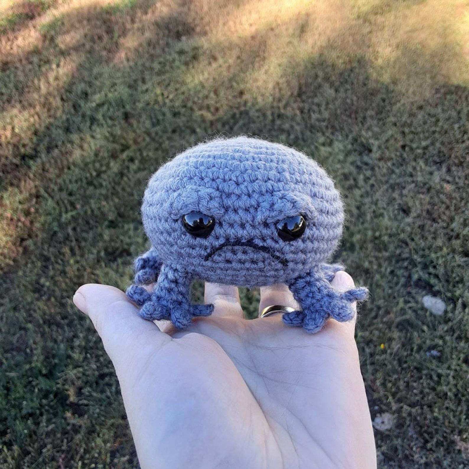 Angry Black and Desert Rain Frogs Crochet Made to Order - Etsy