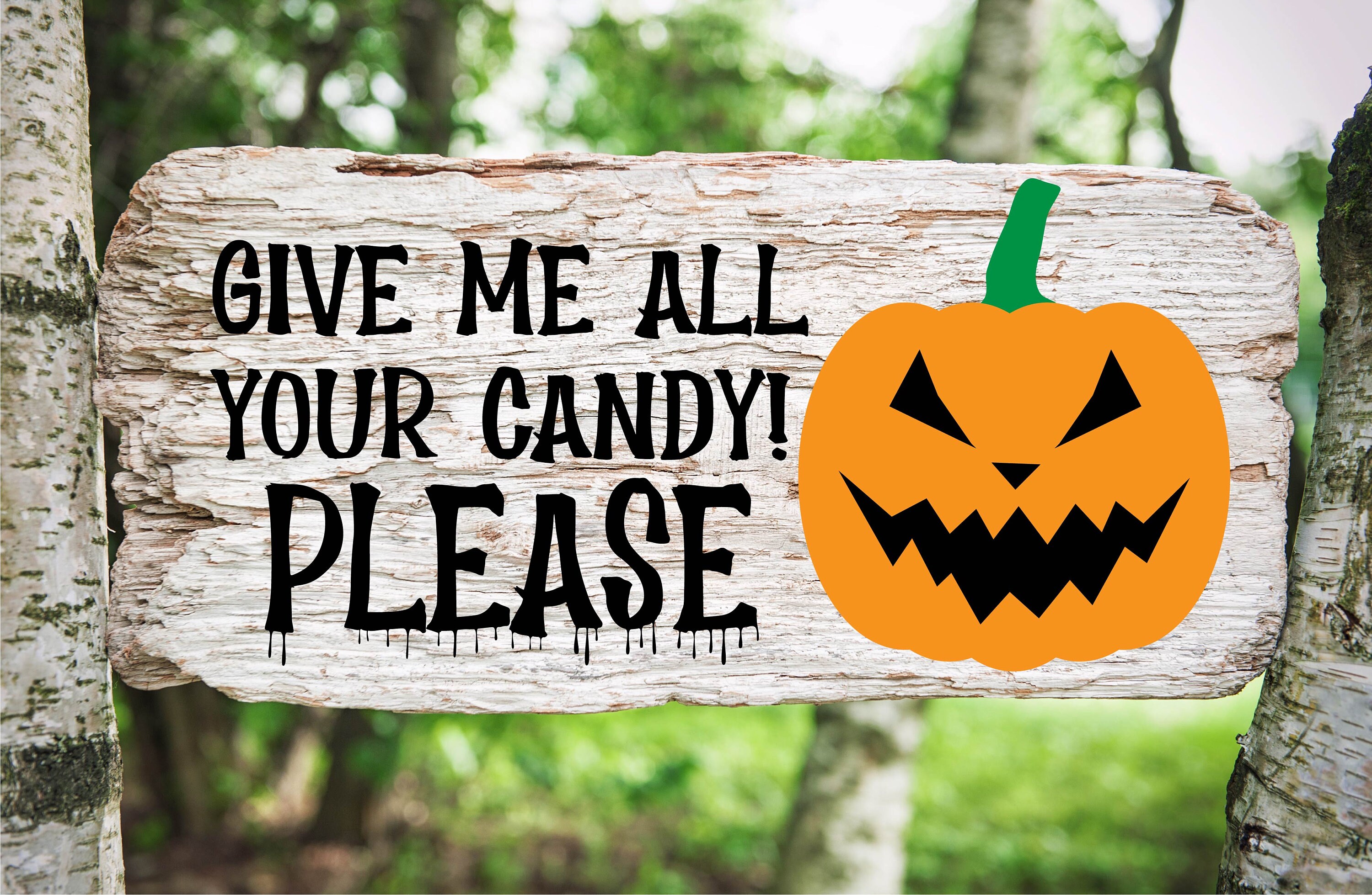 Scary SVG Spooky Svg Spooky Vibes Svg Fall Sign Svg Spooky | Etsy