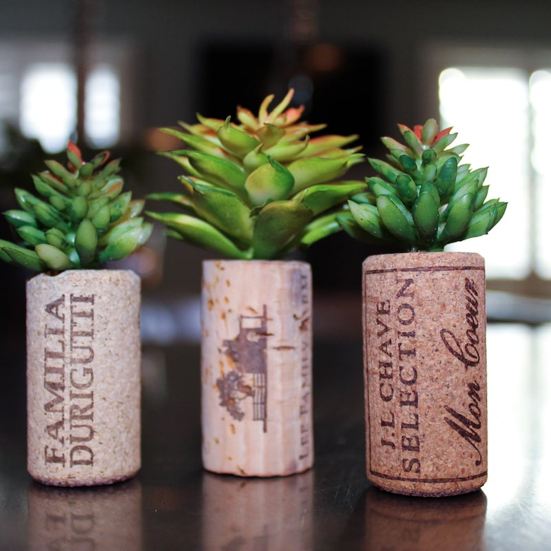 Wine Cork Succulent - Etsy