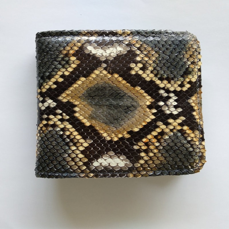 Real Snake Skin - Etsy