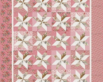 Amazing Grace Quilt Kit - Etsy