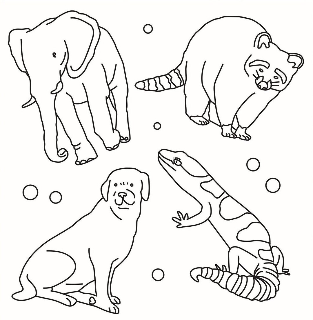 Kids Favorite Animal Coloring Book 40 Pages of Fun Printable Download ...