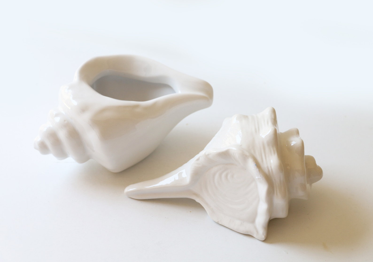 1pc Ceramic Sea Shell Decor Kawaii Stationary Sea Glass - Etsy