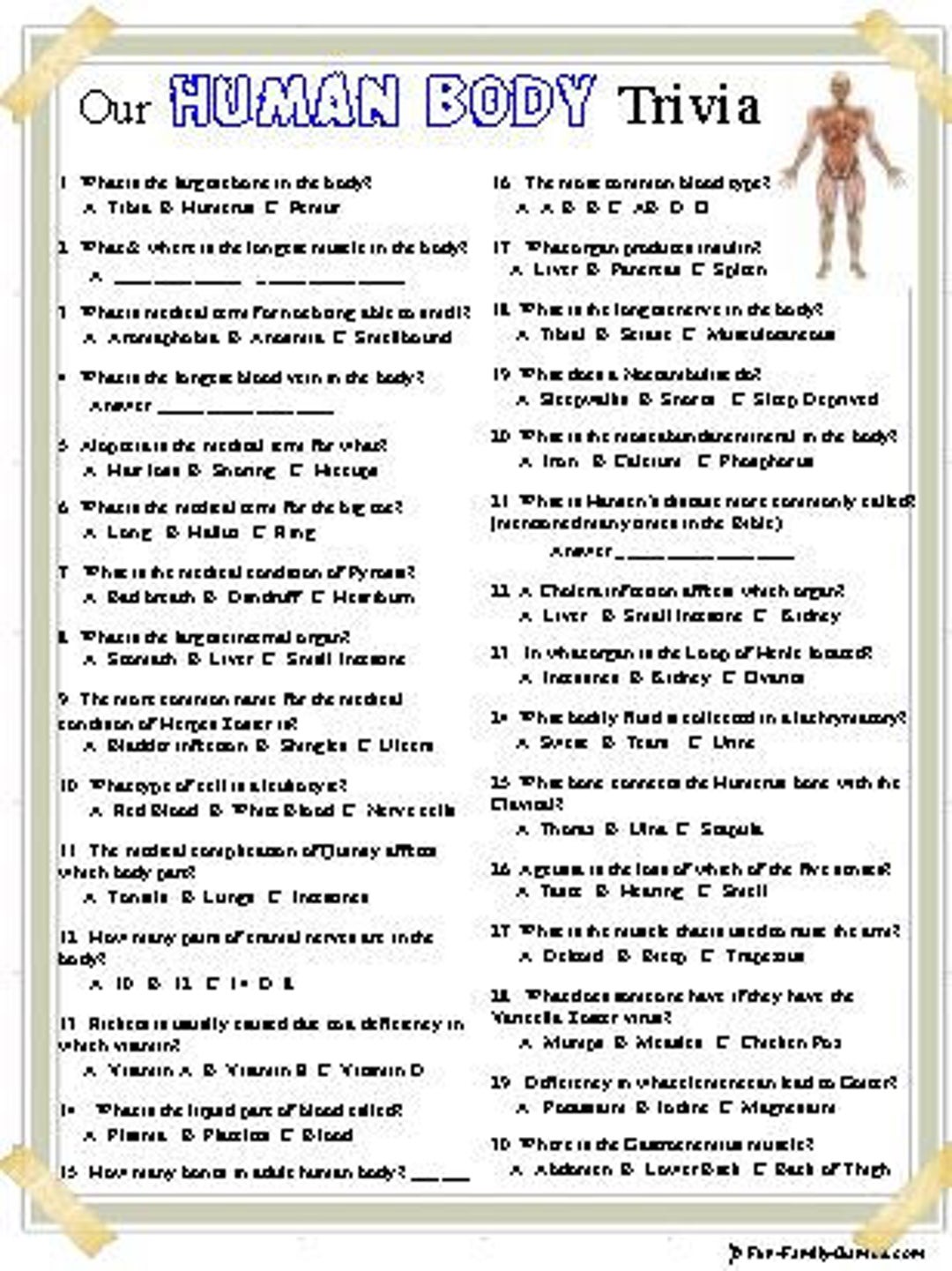 Anatomy Trivia All About Our Human Bodies Etsy
