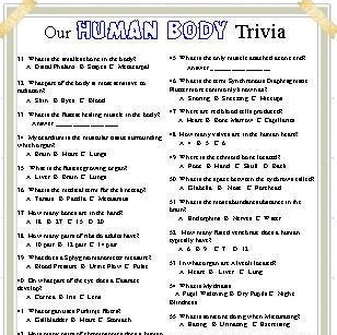 Anatomy Trivia, All About Our Human Bodies - Etsy