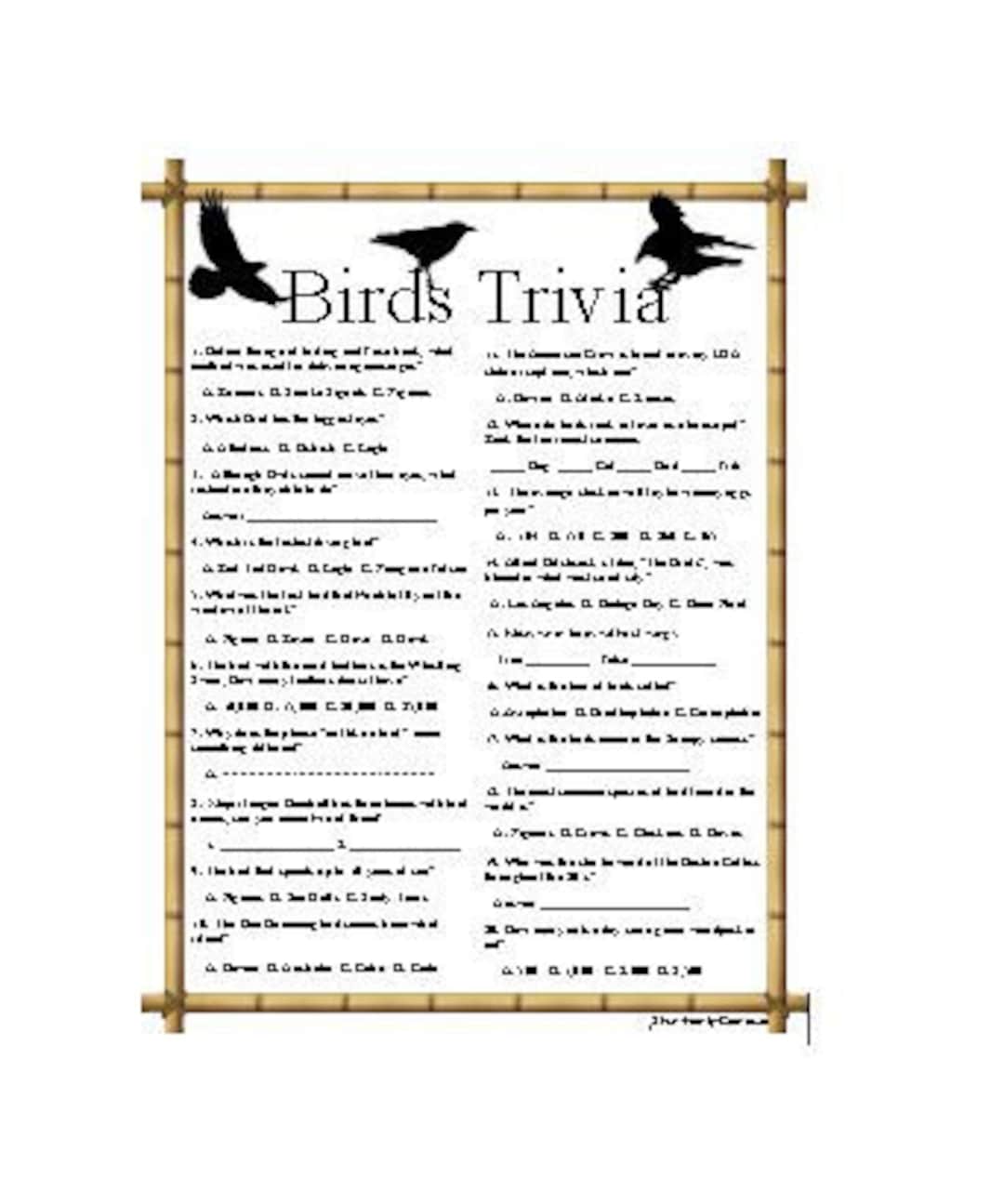 Birds Trivia - Etsy