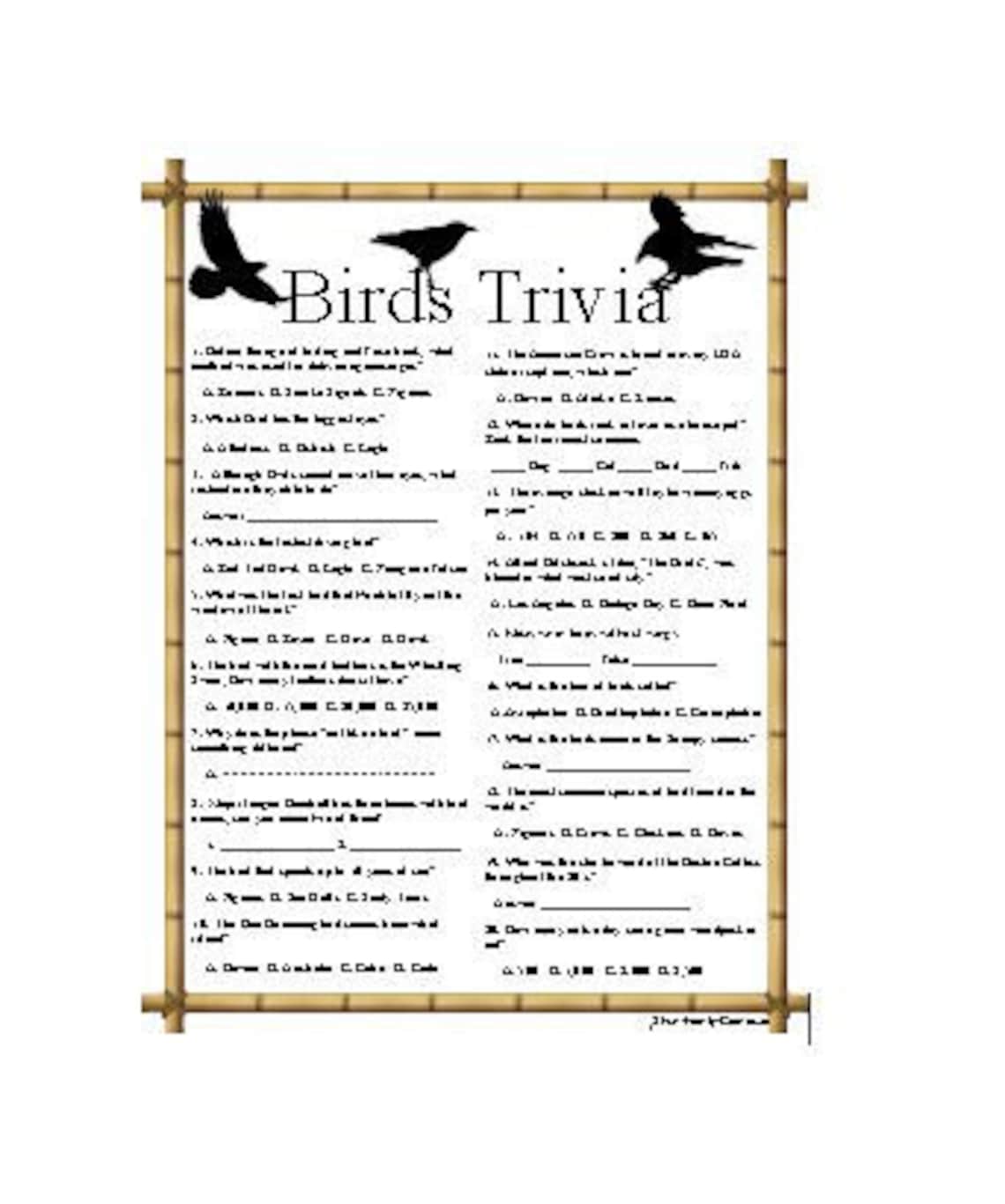 Birds Trivia | Etsy