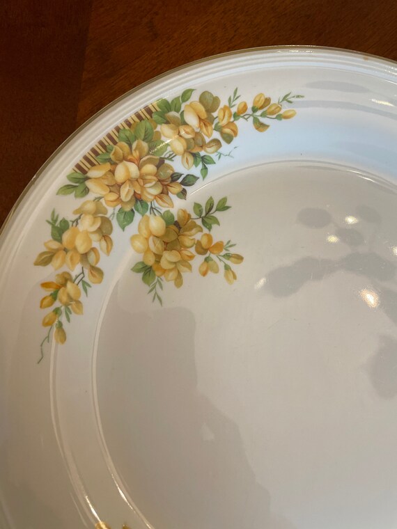 Acacia KNO121 by Edwin Knowles 4 Vintage 10 Dinner Plates Kitchen ...