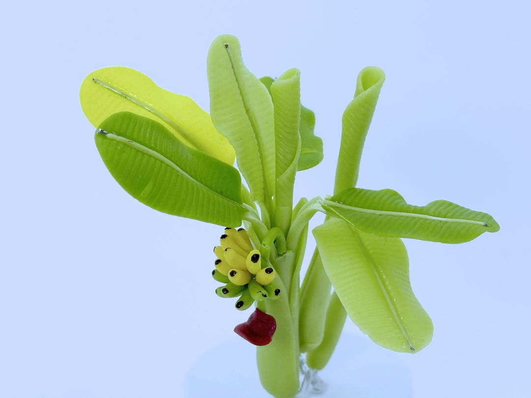 Dollhouse Miniature Banana Tree With Banana 1:12 Scale - Etsy