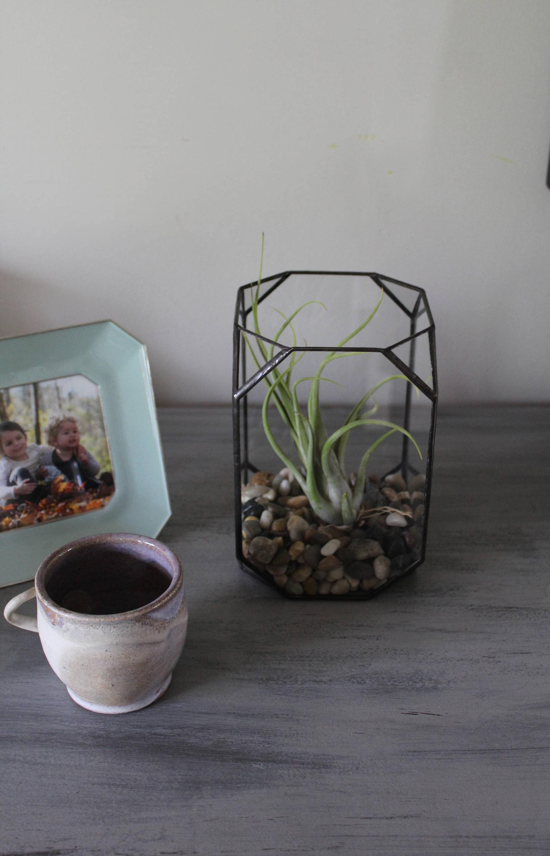 Stained Glass Terrarium Glass Container Air Plant Succulent | Etsy