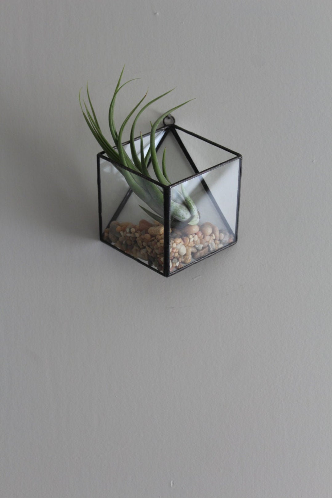 Small Hanging Terrarium Geometric Hanging Planter Wall Mounted Air ...