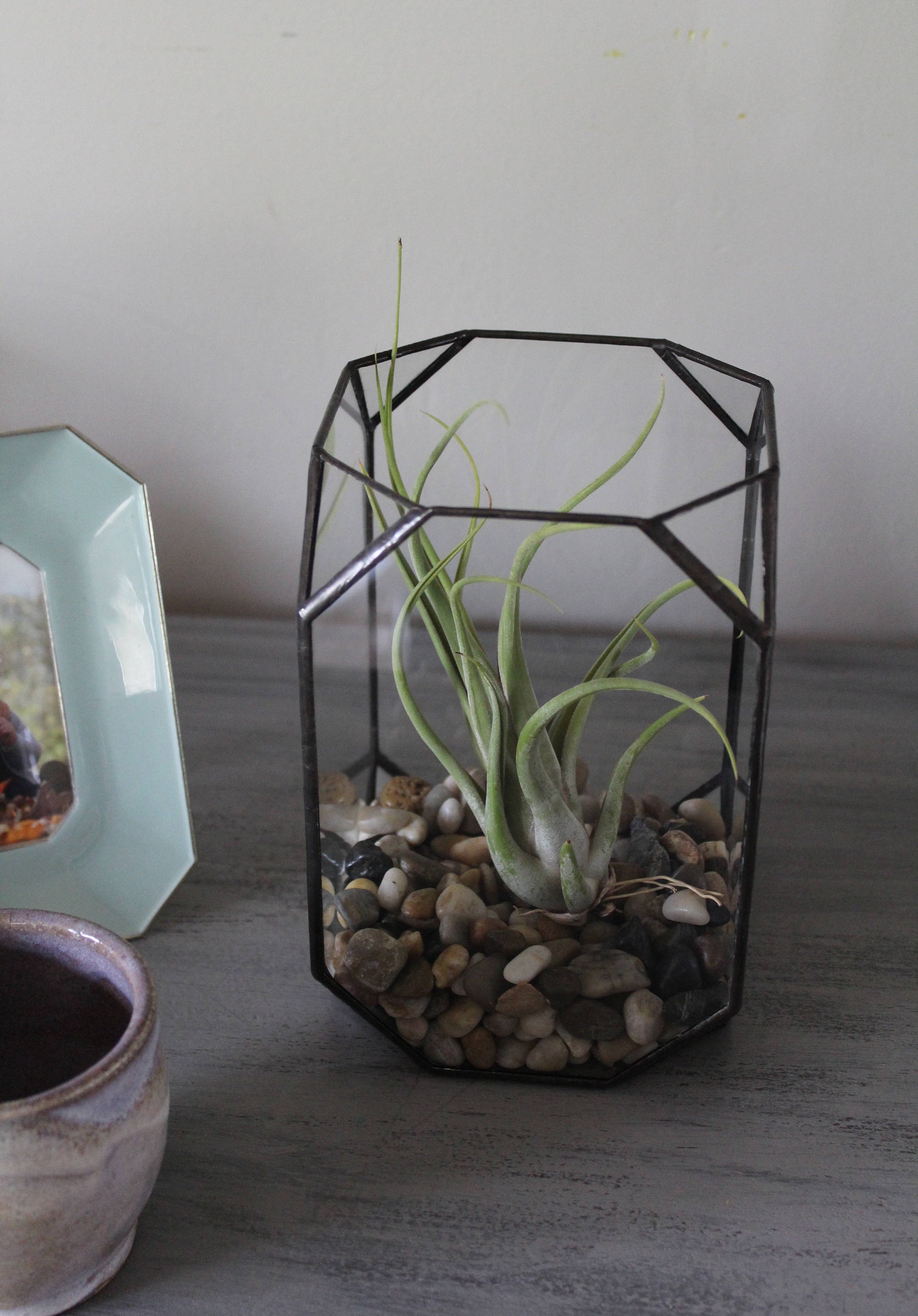 Stained Glass Terrarium Glass Container Air Plant Succulent | Etsy