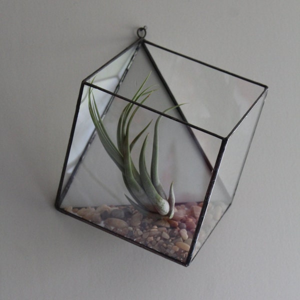 Glass Planter - Etsy
