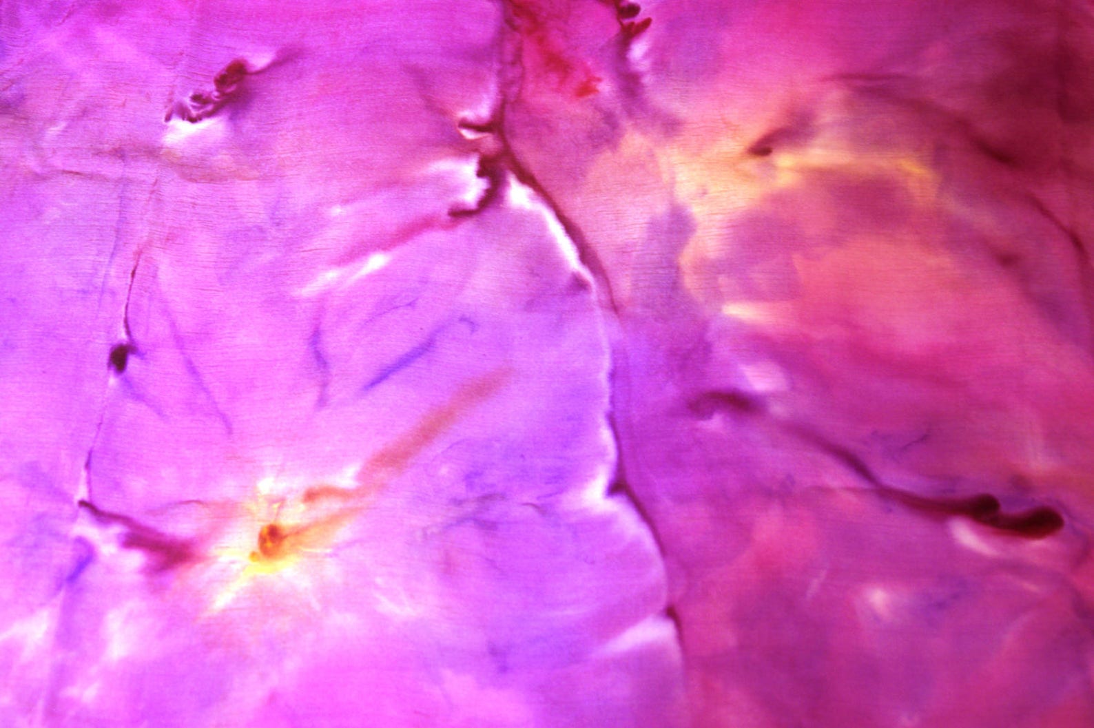 Natural Silk - "fantasy Color"- Fabric of Silk Made for Sewing Tunics ...