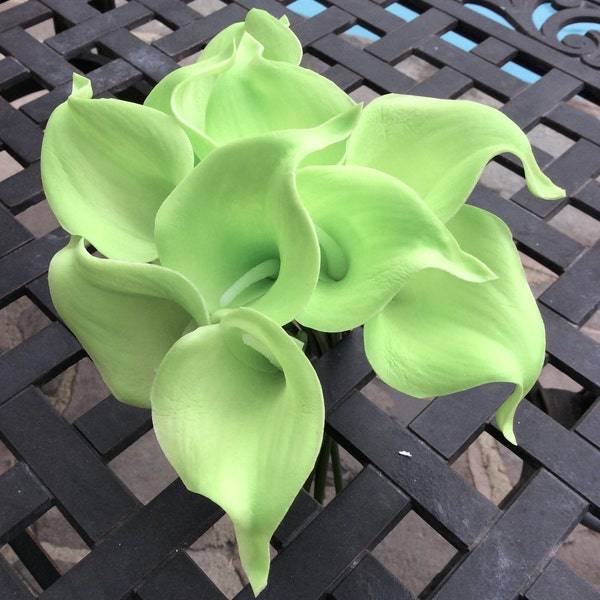 Green Calla Lilies - Etsy