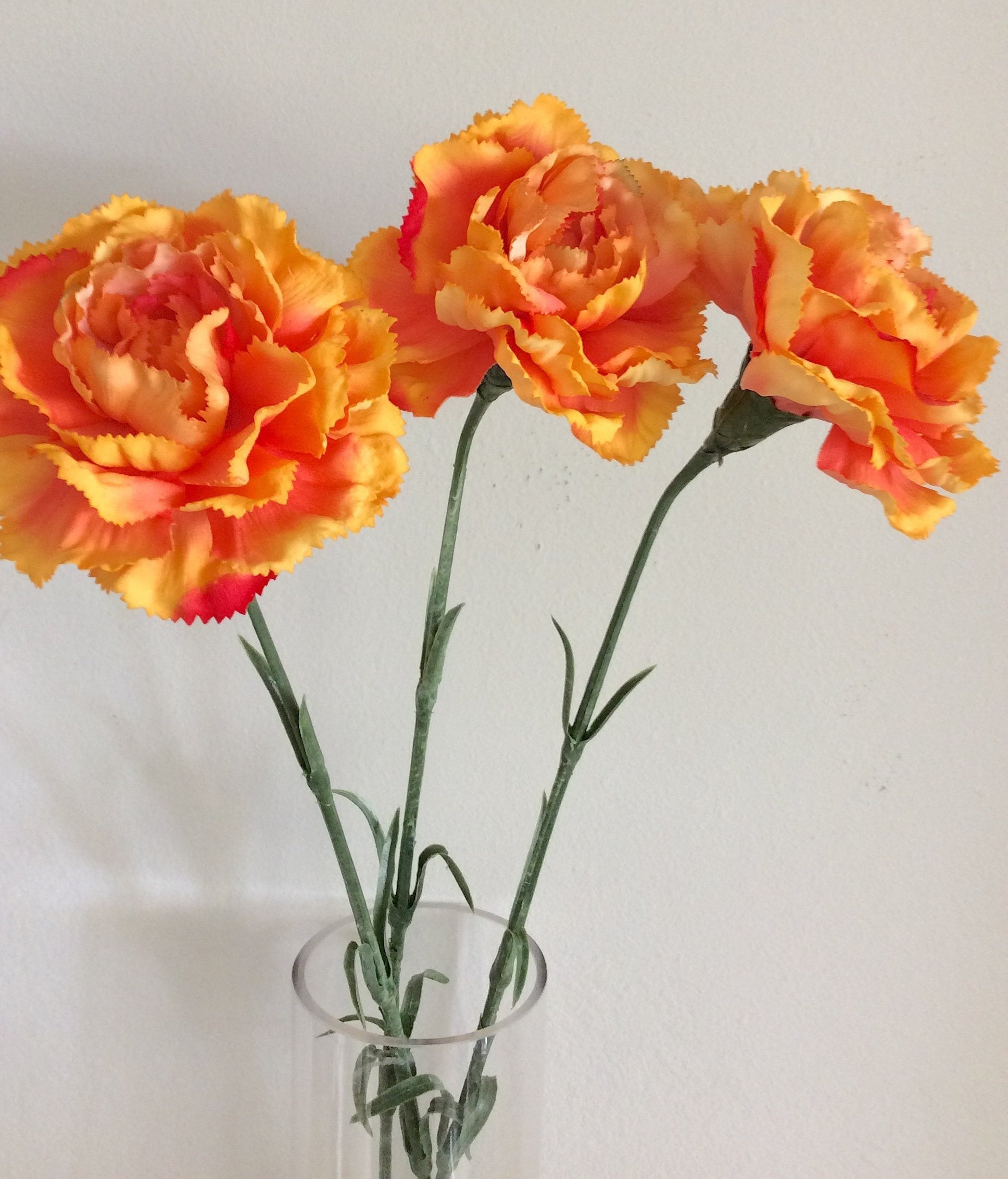 Orange Carnation Flower