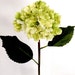 Real Touch Hydrangea Premium Long Stem - Etsy