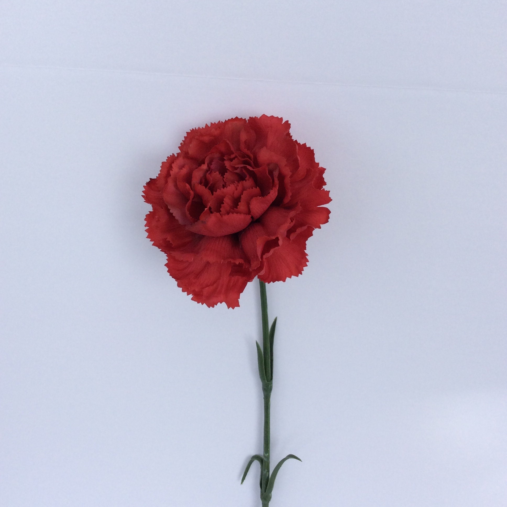 Red Real Touch Carnation Flower Single Stem - Etsy