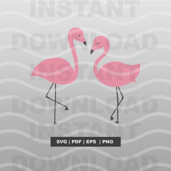 Flamingo SVG Cut File Two Flamingos Silhouette Clipart File - Etsy