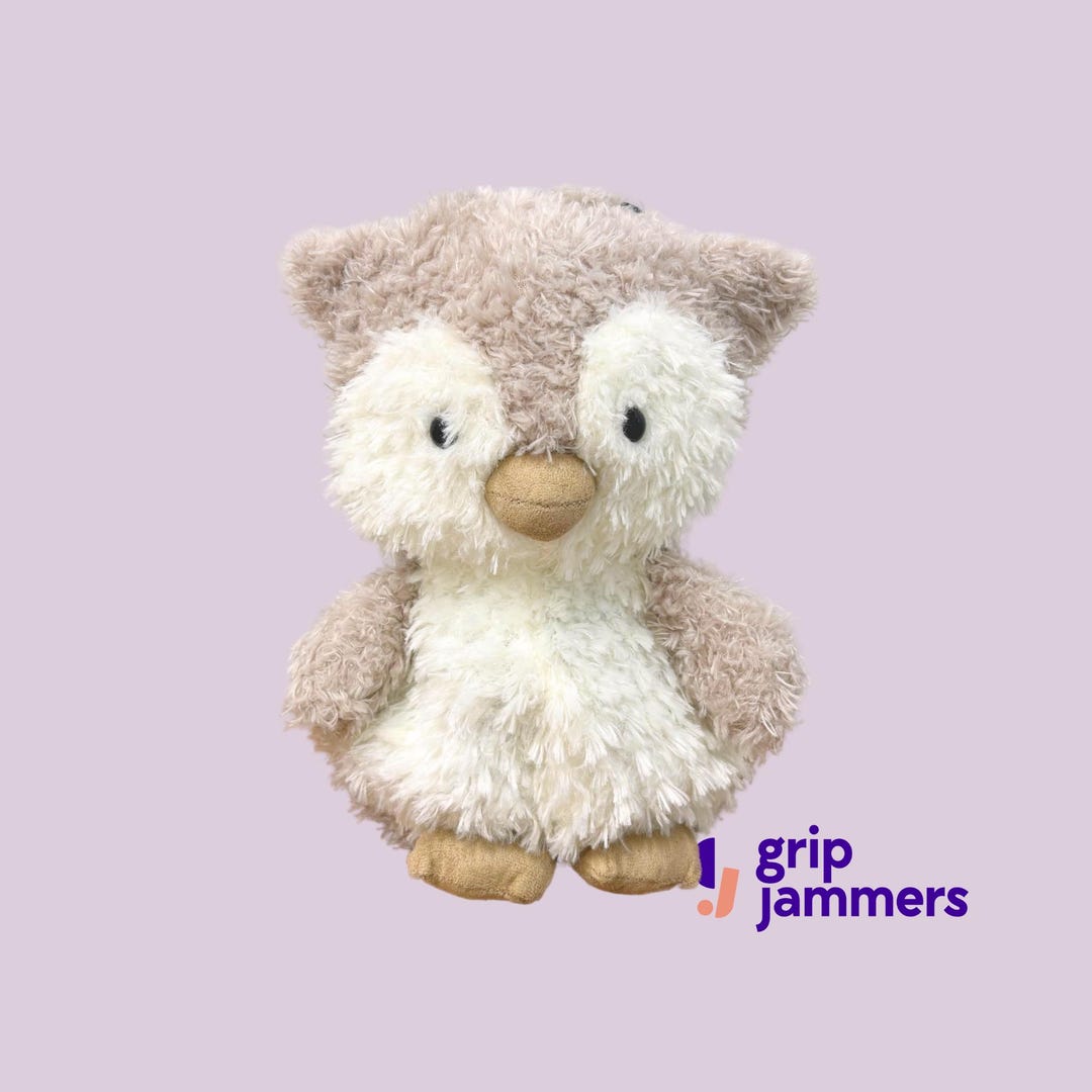 Olly the Owl Chalk Bag - Etsy