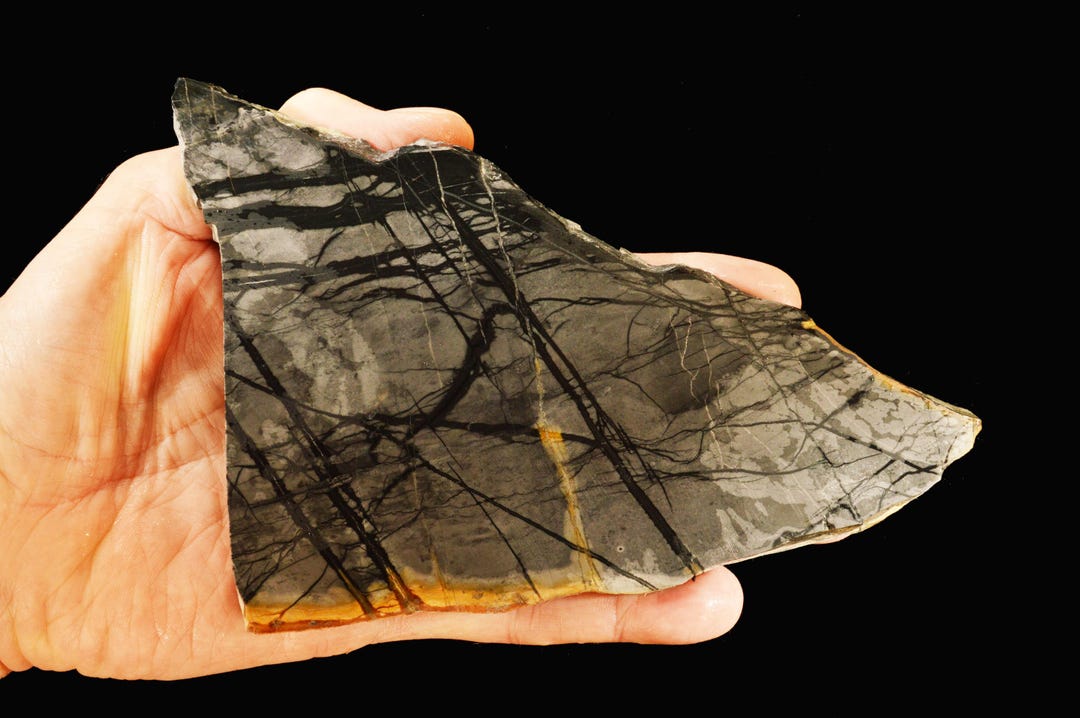 PICASSO MARBLE Slab 6" X 4" (sku 03) Lapidary Slice Large Raw Cabbing ...