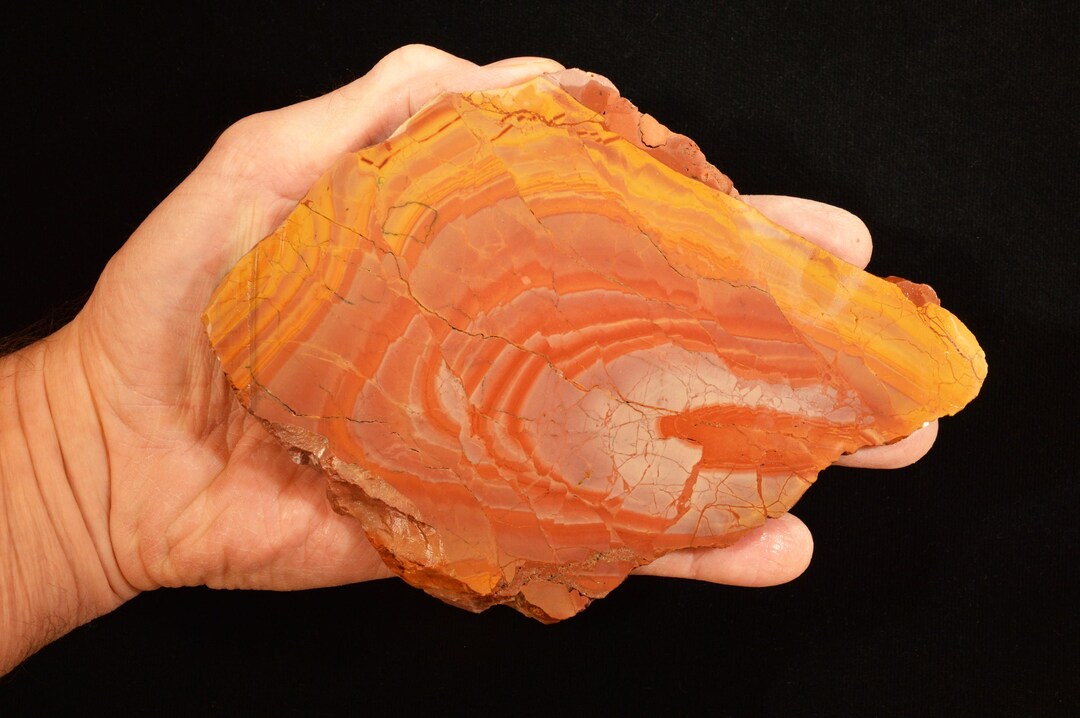 RARE BANDED RHYOLITE 7" X 5" (sku 03) Wonder Stone Lapidary Grade Slab ...