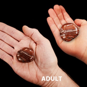 RED DOLOMITE 2" 2-3 Oz Large Polished Tumbled Rocks Minerals All ...