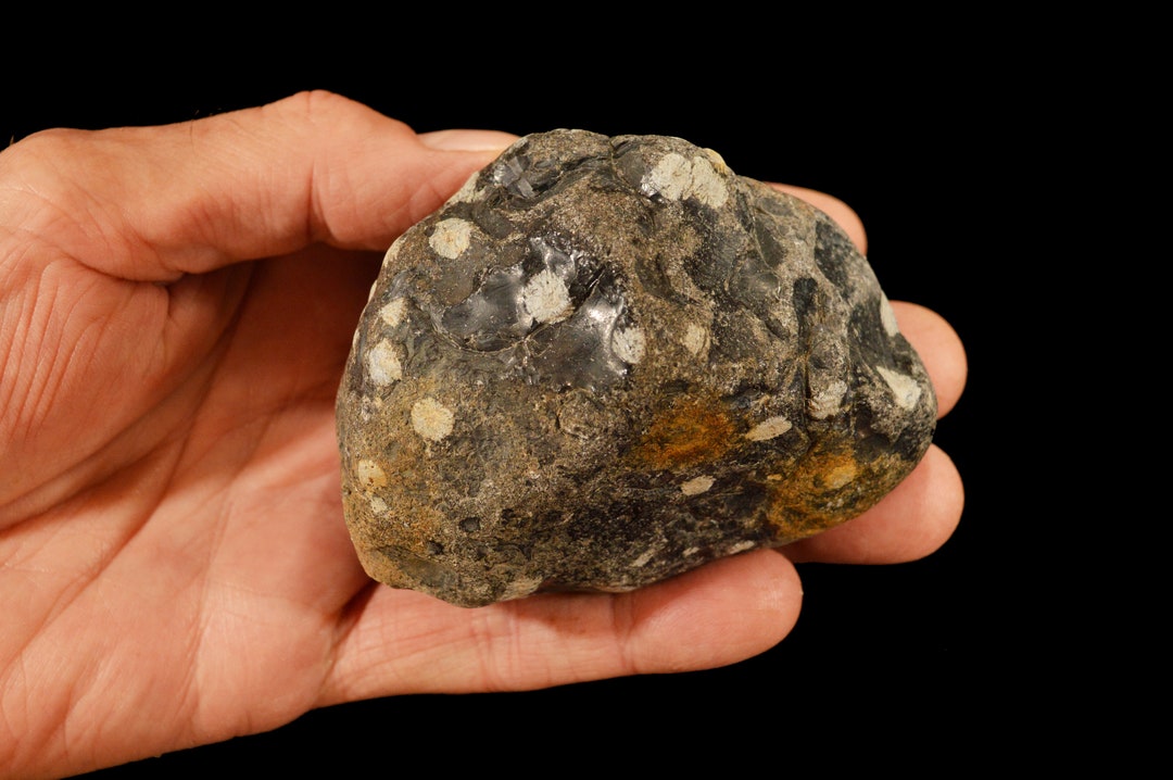 SNOWFLAKE OBSIDIAN 3" X 2 1/2" 1 Lb (sku 01 E) Lapidary Rough Extra ...