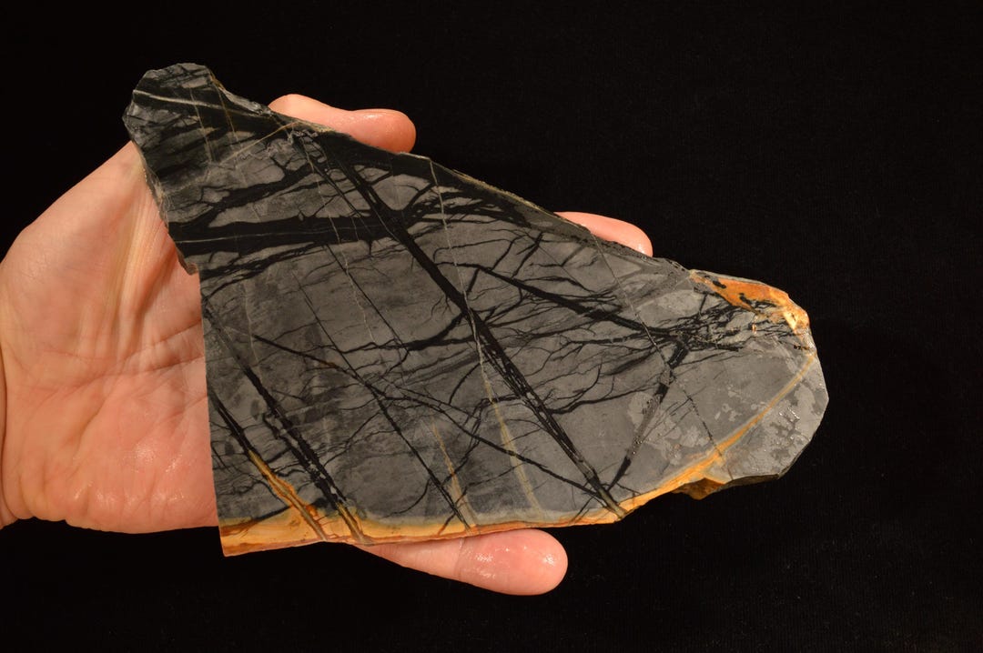 PICASSO MARBLE Slab 7" X 5" (sku 05) Lapidary Slice Large Raw Cabbing ...