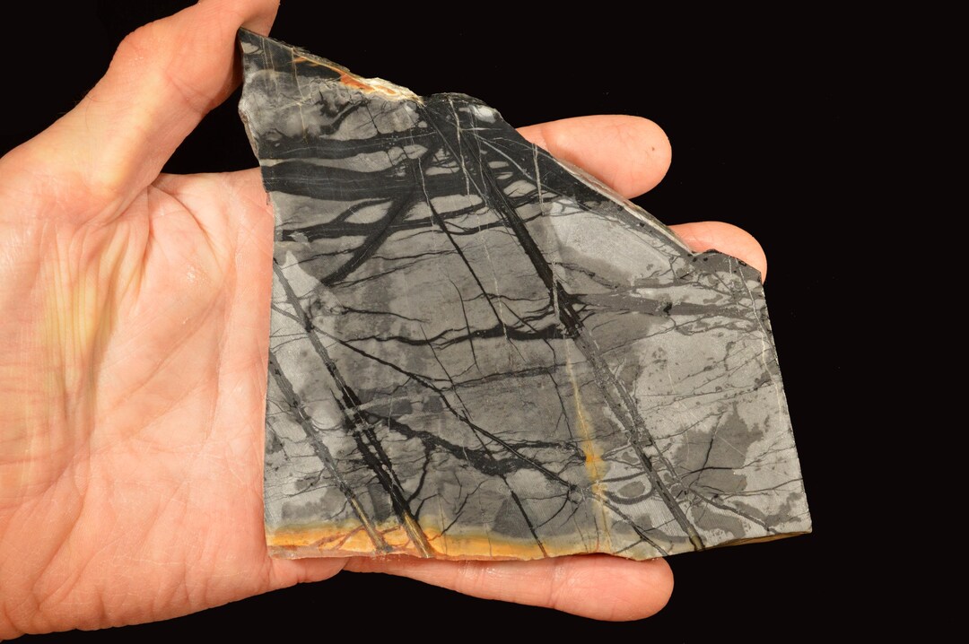 PICASSO MARBLE Slab 5" X 4 1/2" (sku 11) Lapidary Slice Large Raw ...