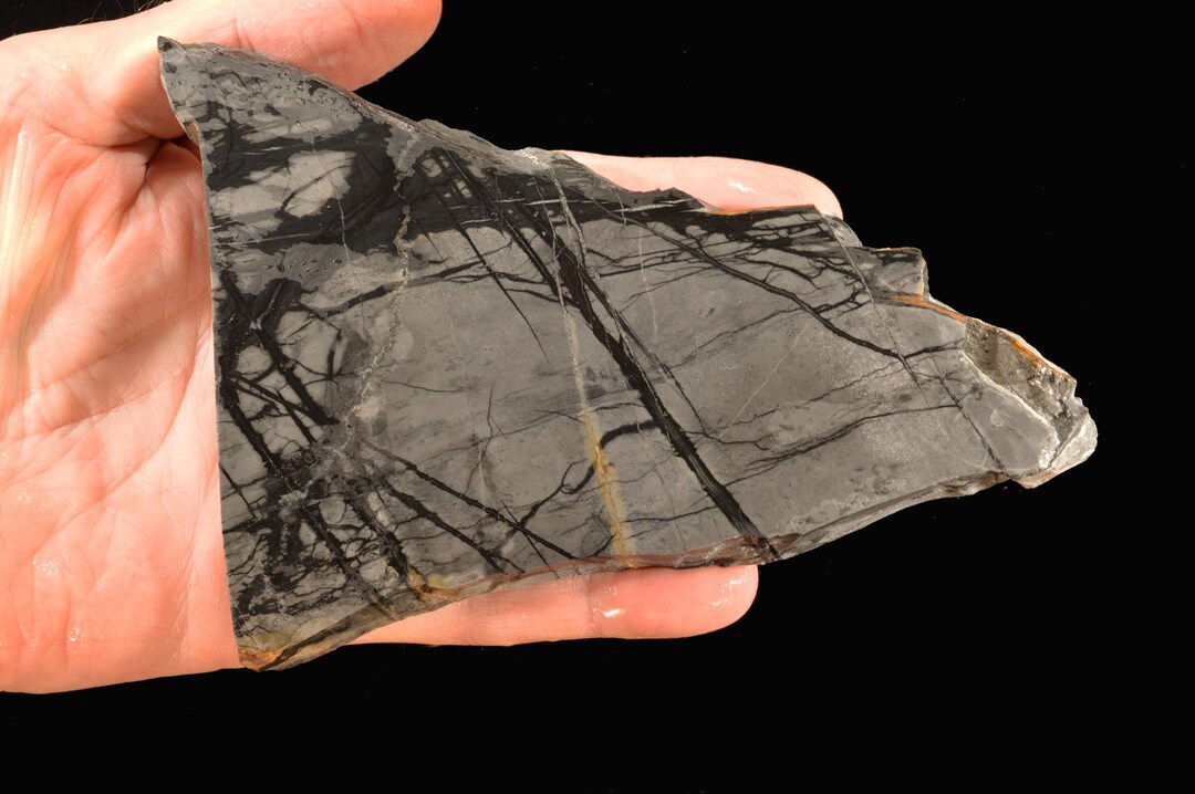 PICASSO MARBLE Slab 6" X 4" (sku 01) Lapidary Slice Large Raw Cabbing ...