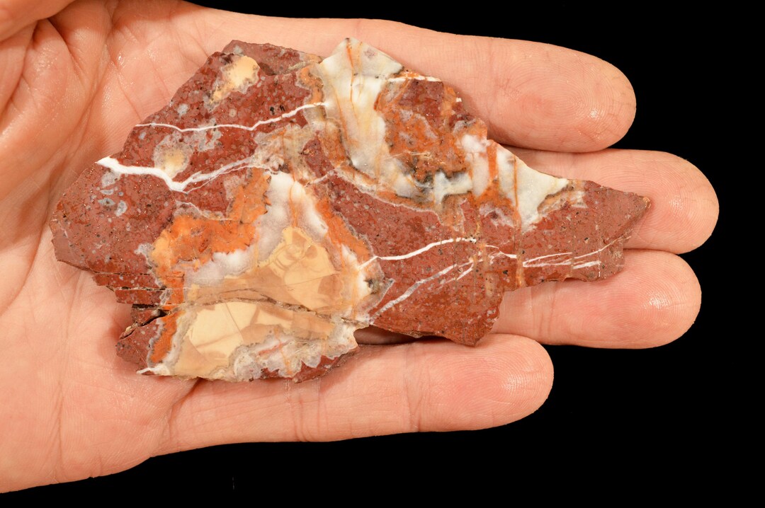 CREME SICKLE AGATE Slab 4" X 2 1/2" (sku 15) Lapidary Slice Rough Rock ...