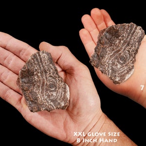 BANDED ONYX 3" 8-12 Oz Rough Rock Mineral Specimen Raw Root Chakra ...