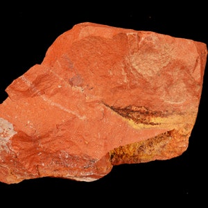 Red Jasper 4 1/2" 14 Oz to 1 Lb 3 Oz Raw Rocks and Minerals Root Chakra ...