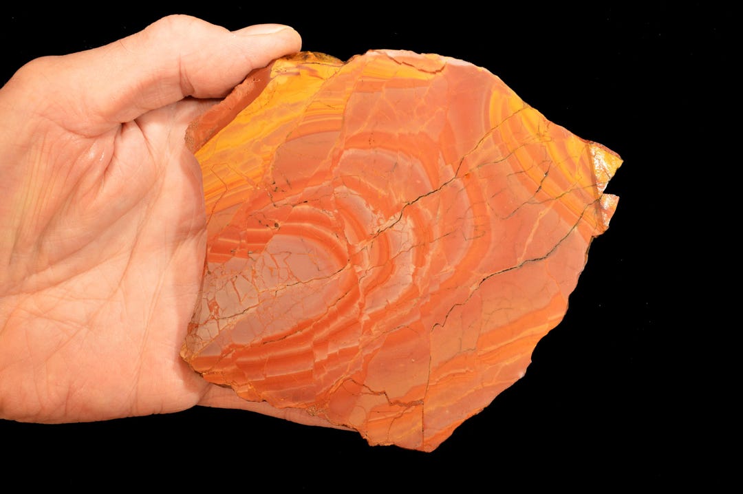 RARE BANDED RHYOLITE 5 1/2" X 5" (sku 01) Wonder Stone Lapidary Grade ...