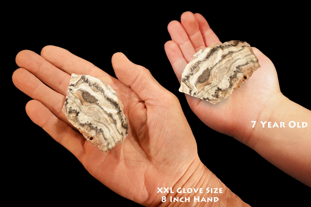 ZEBRA ONYX 2" 2-3 Oz Rough Extra Large Rough Rock Mineral Specimen Raw ...