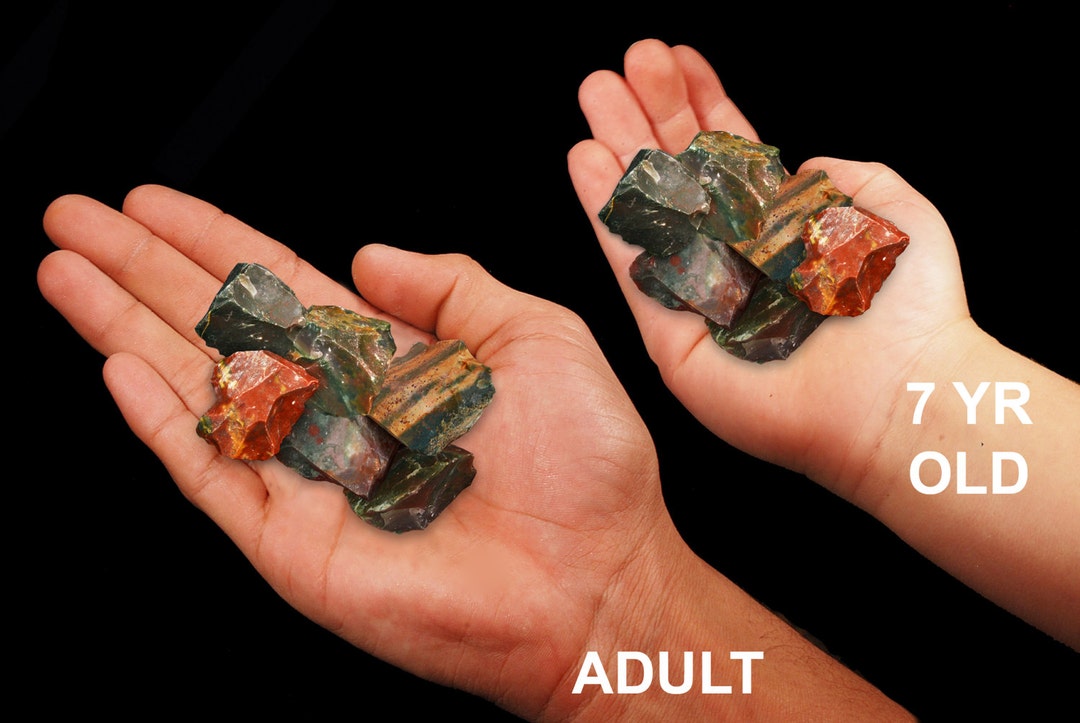 FANCY JASPER 1 1/4" Set of 6 Pieces Raw Rocks and Minerals Root Chakra ...