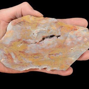 AGATE JASPER Slab 7" X 4" (sku 41) Lapidary Slice Rough Rock Mineral ...