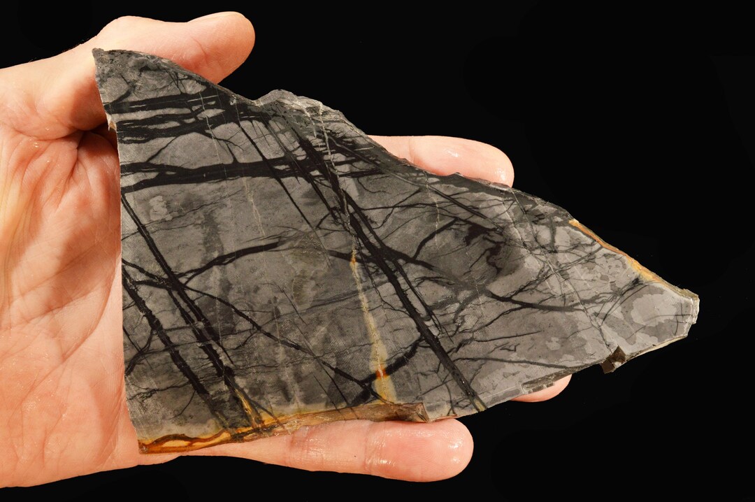 PICASSO MARBLE Slab 6" X 4" (sku 02) Lapidary Slice Large Raw Cabbing ...