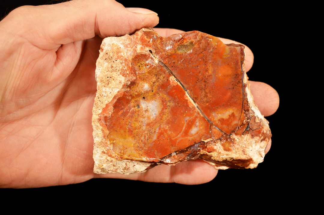 JASPER AGATE 4" X 3" 12 Oz (sku 03) Lapidary Rough Cabbing Stone Rock ...