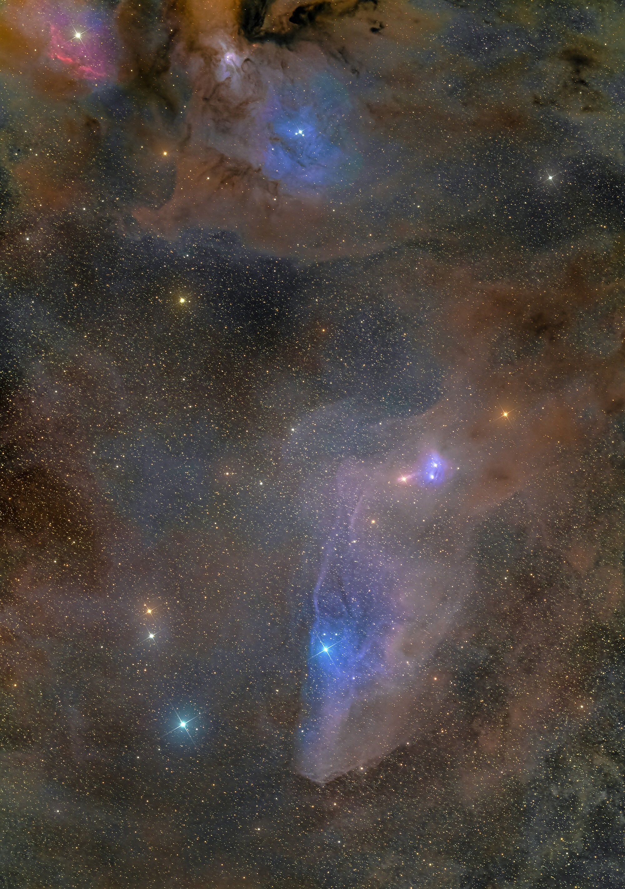 The Blue Horsehead Nebula in the Ophiuchus Constellation, Big Bend ...