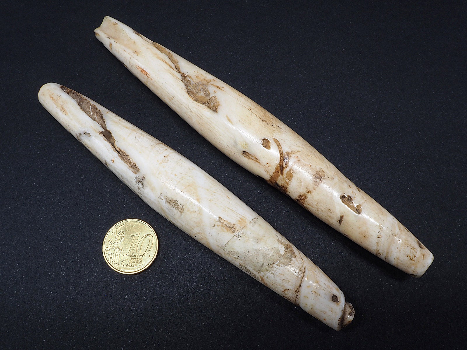 2 Columella shell beads. Early 20th C. Nagaland India | Etsy