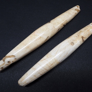 2 Columella Shell Beads. Early 20th C. Nagaland, India - Etsy