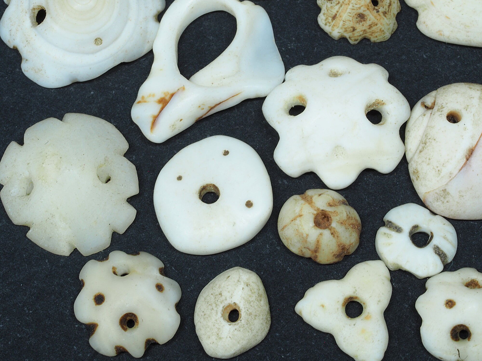 24 Antique Carved Conus Shell Hair Adornment/trade Beads. | Etsy