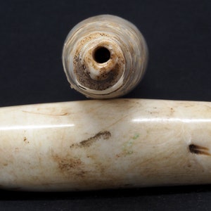 2 Columella Shell Beads. Early 20th C. Nagaland, India - Etsy