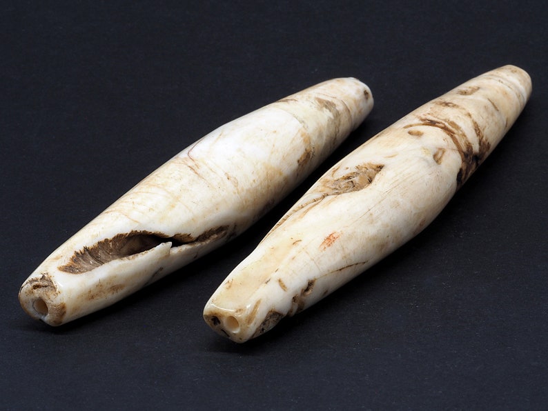 2 Columella Shell Beads. Early 20th C. Nagaland India - Etsy