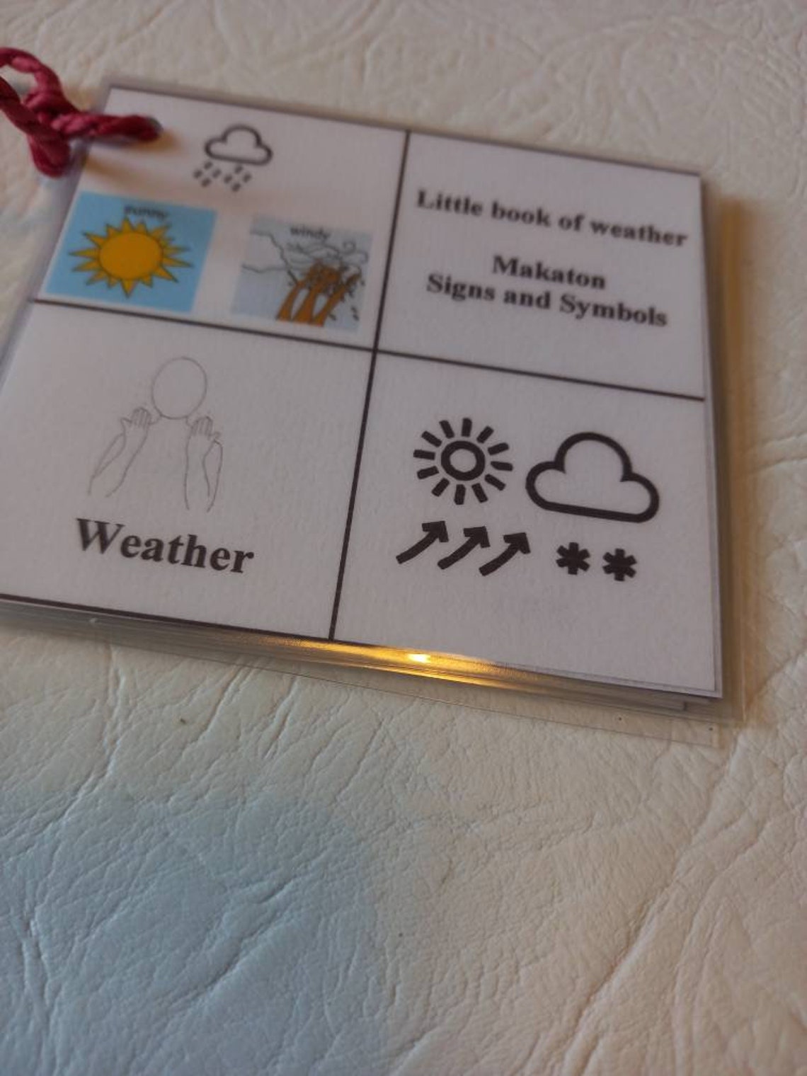 Weather Makaton signing and symbols communication skills | Etsy