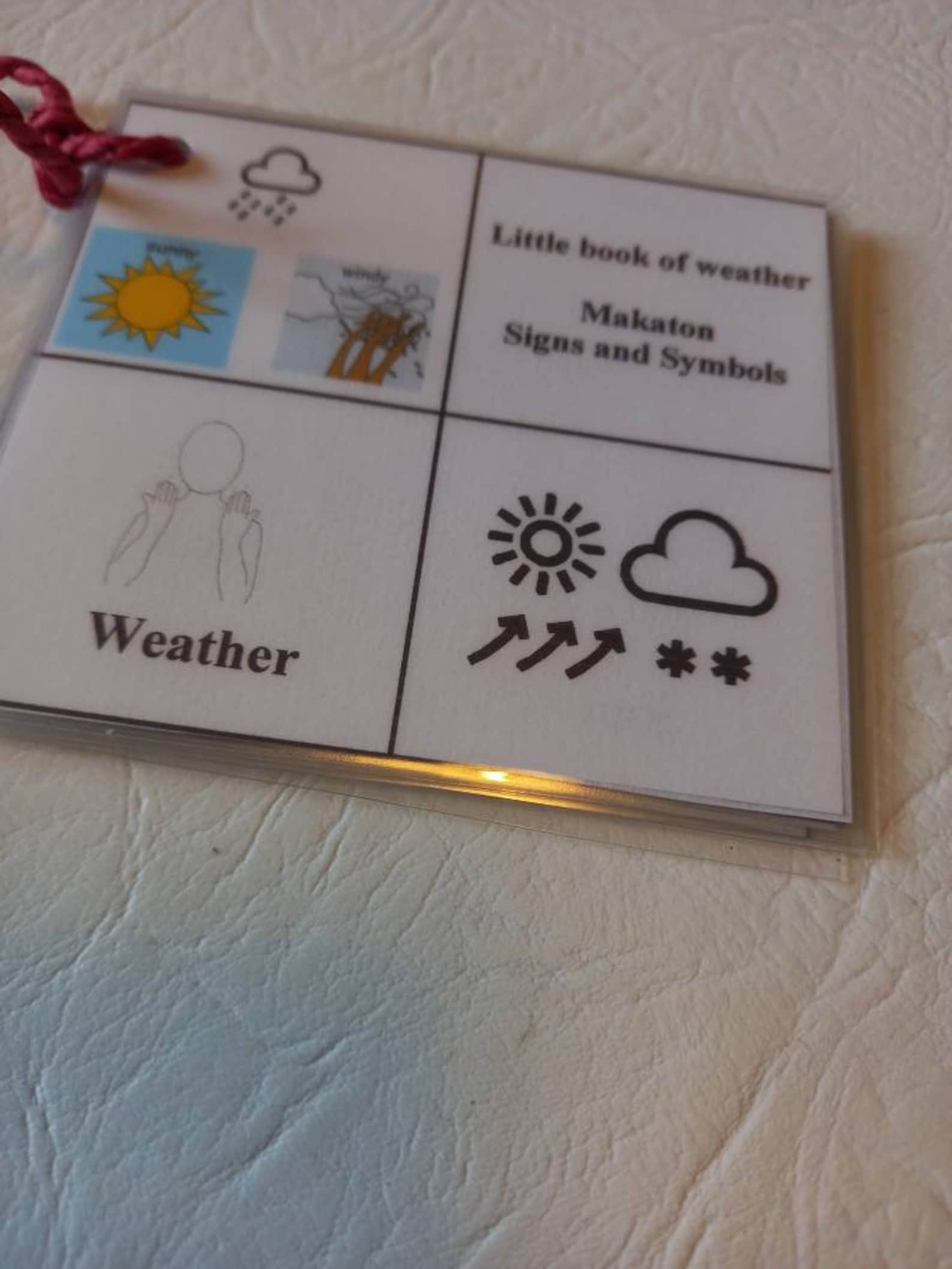 Weather Makaton signing and symbols communication skills | Etsy