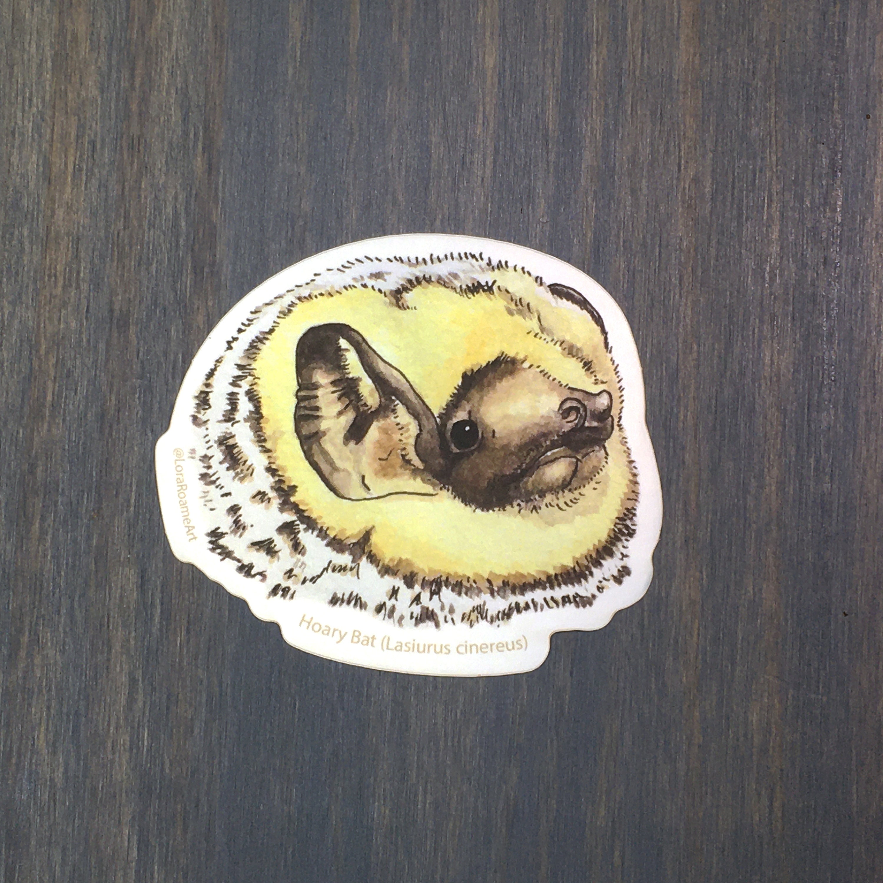 Hoary Bat Sticker Bat Decal Water Bottle Sticker Laptop | Etsy